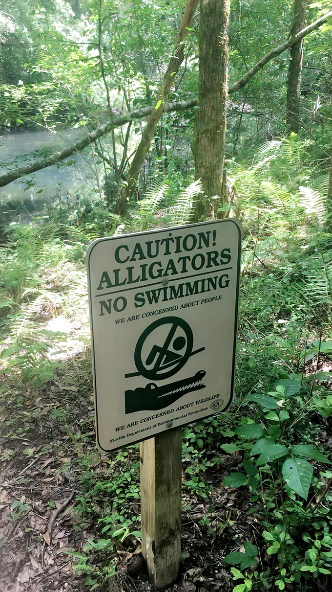 Florida's most polite warning sign essentially says, "We'd prefer if you and our toothy residents admired each other from a respectful distance."