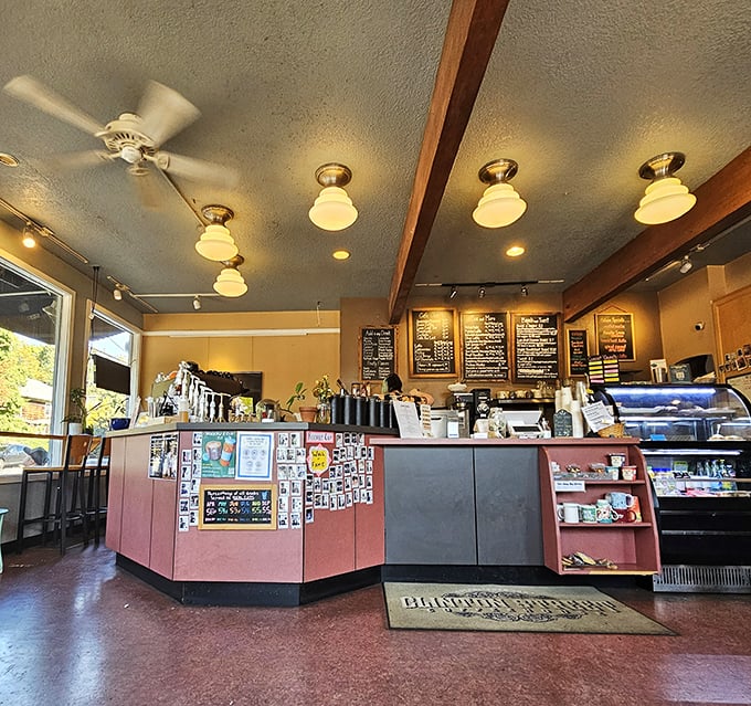 A coffee counter that's seen more morning confessions than a church on Sunday.