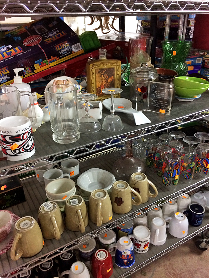 Glassware galore! Every cup tells a story – from corporate giveaways to vacation souvenirs, each waiting for new memories to be poured.