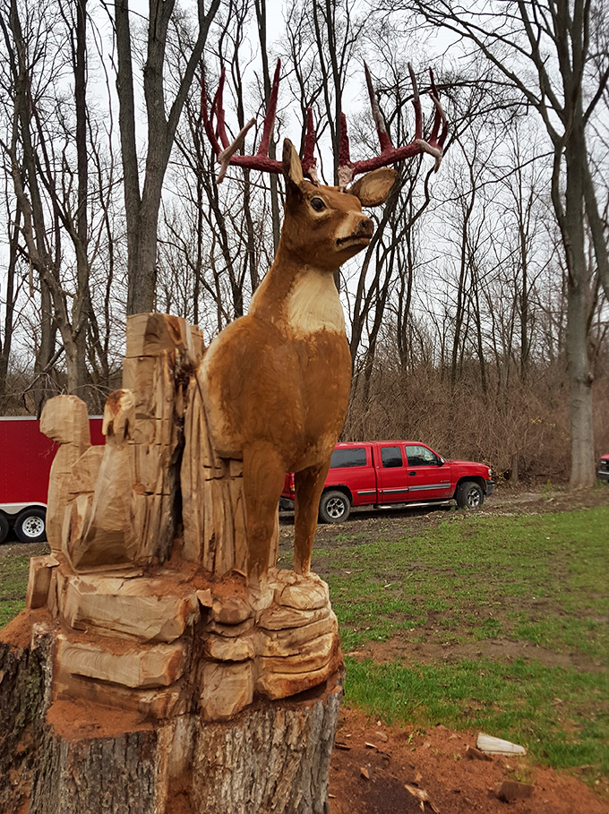 This wooden deer stands eternally vigilant. Unlike real deer, this one won't bound away just as you're reaching for your camera.
