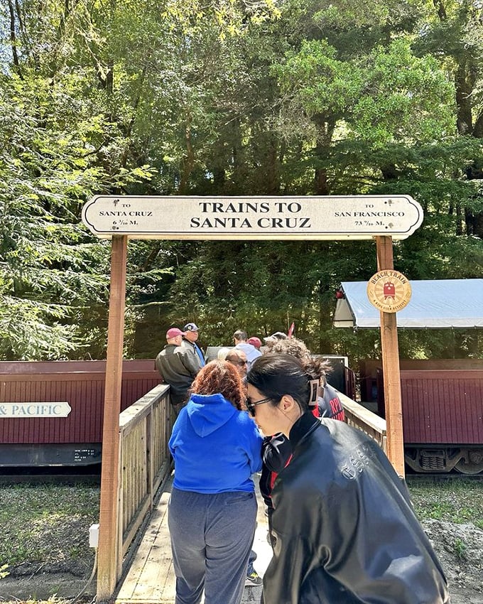"Trains to Santa Cruz" reads the sign, promising adventures in two directions&mdash;a reminder that these rails once connected mountain forests to coastal communities.