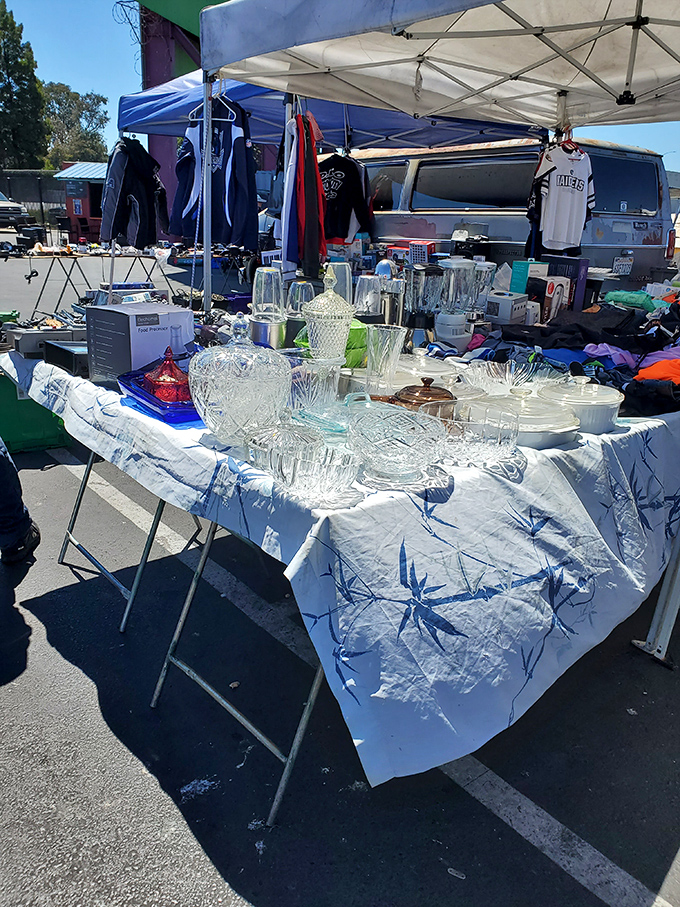 Crystal and glassware catching the California sun. Grandma's china cabinet meets flea market chic in this sparkling display.
