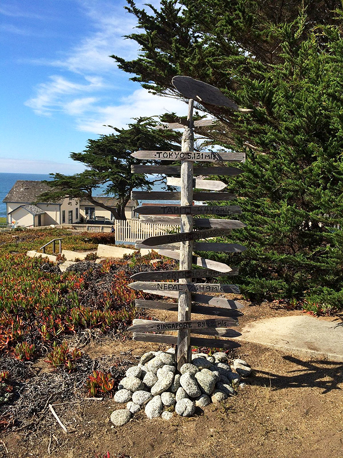 This whimsical signpost reminds us that while Montara may feel worlds away, it connects us to distant shores through the universal language of the sea.