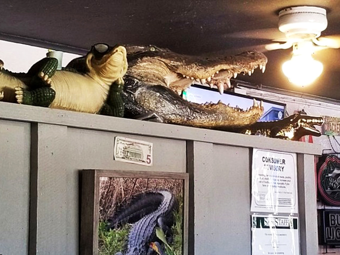 That taxidermy gator watching over diners isn't just decoration&mdash;it's a reminder of what's on the menu. Florida dining with a wink.