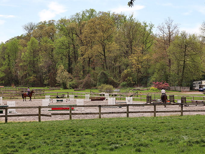 Equestrian elegance in action. This riding ring has witnessed countless jumps, trots, and the occasional "I meant to do that" dismount.