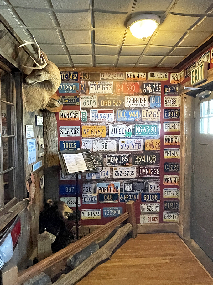 License plate wallpaper and mounted wildlife – a reminder you're eating somewhere with stories to tell, not just meals to serve.