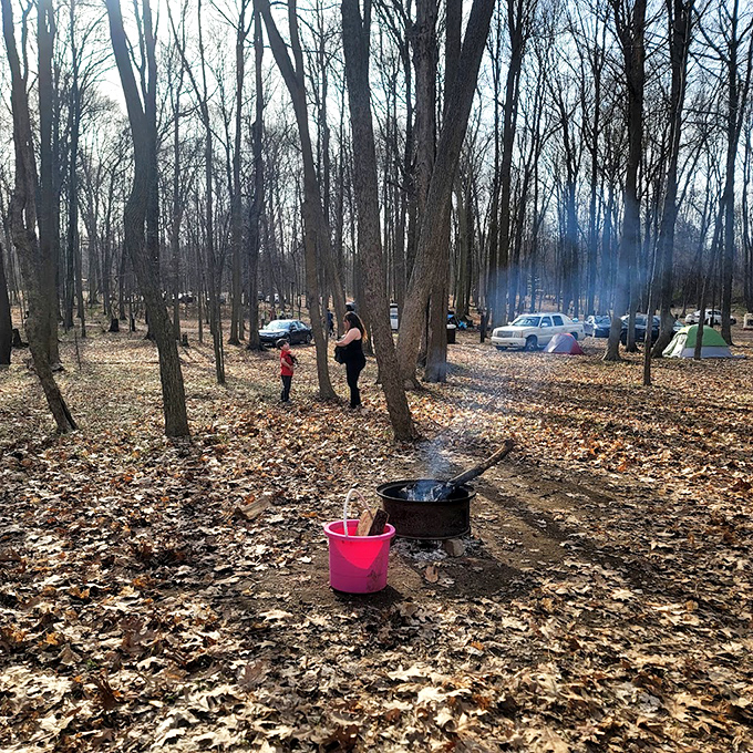 Fall camping among leaf-carpeted grounds offers the authentic woodland experience, complete with that "is that smoke or did I burn dinner?" moment.