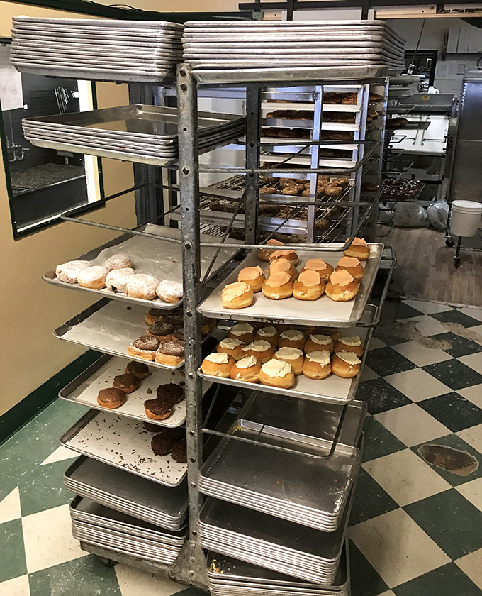 Donut heaven exists, and it has metal racks. These freshly prepared treasures wait patiently for their moment of glory in your mouth.