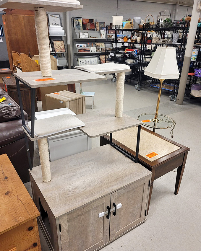 Furniture tetris at its finest. That lamp is just waiting to illuminate your late-night reading sessions.