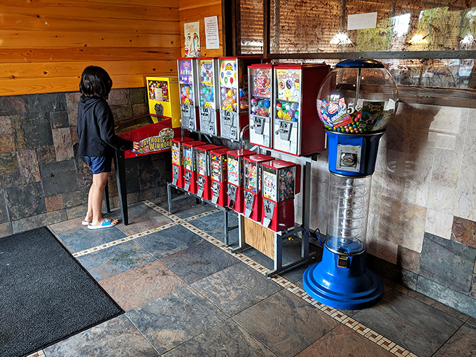 Even kids find their happy place at Mizumi, with arcade games offering the perfect post-feast entertainment while adults contemplate one more plate.