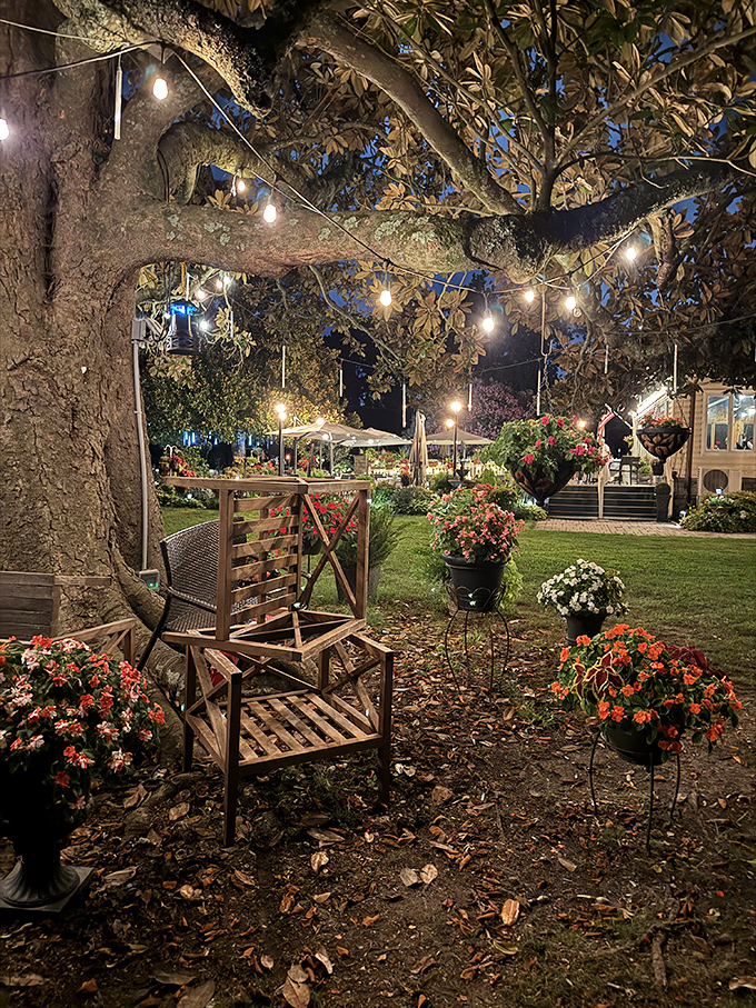 Garden seating under twinkling lights where summer evenings stretch into night and dessert suddenly becomes non-negotiable.