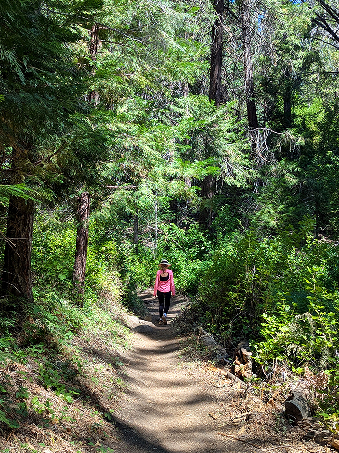 Trails that invite wandering and wondering in equal measure. Your fitness tracker will be impressed, but your soul even more so.