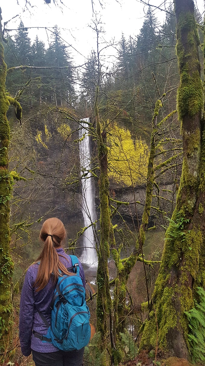 The anticipation builds: A hiker pauses to take in the distant falls, demonstrating the proper posture for experiencing awe in the wild.