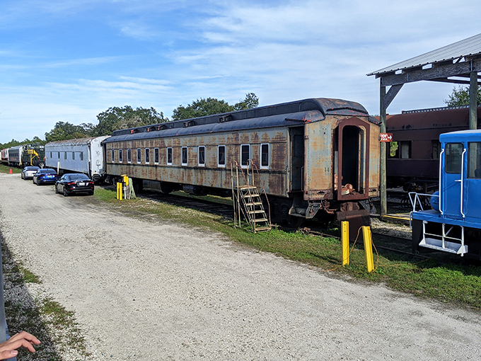 Time and weather have left their mark on these vintage passenger cars, now awaiting restoration to reveal the elegance of rail travel's golden age.