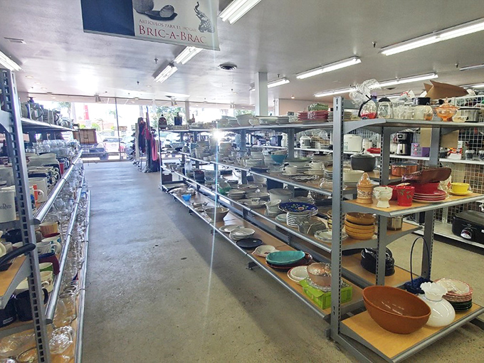 Aisle after aisle of kitchen essentials and home d&eacute;cor. That ceramic bowl could be the missing piece in your dining collection!