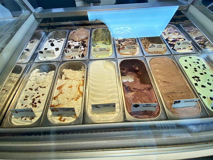 Ice cream flavors that make choosing just one scoop a Sophie's Choice situation. Each creamy variety begs to be paired with a slice of pie.