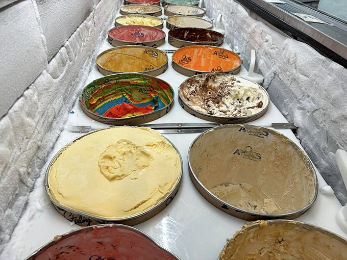 A frozen selection that proves sometimes the best dessert is the one you remember from childhood.