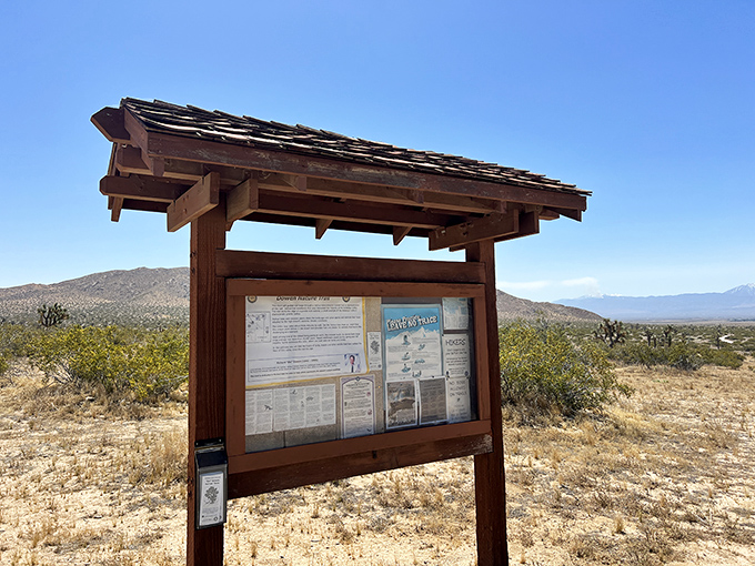 The desert's version of social media&mdash;an information board where notifications are about rattlesnakes rather than political opinions.