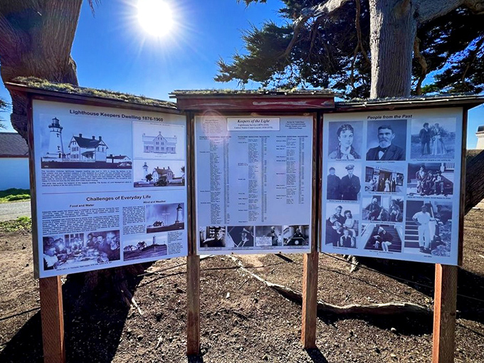 Historical exhibits reveal the human stories behind the lighthouse, making history feel refreshingly personal and real.