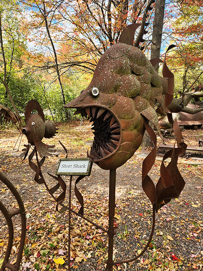 The aptly-named "Short Shark" demonstrates that even underwater predators couldn't escape extinction in the prehistoric marshes of Wisconsin.