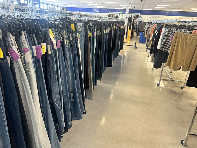The jean selection rivals any department store, minus the heart-stopping price tags. Finding your perfect fit here feels like winning a small lottery.