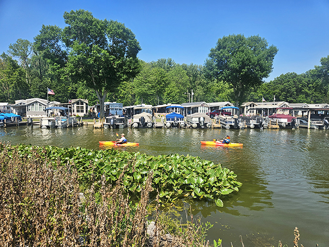 Kayakers glide past floating communities where boats and homes merge into one lifestyle that makes apartment living seem tragically landlocked.