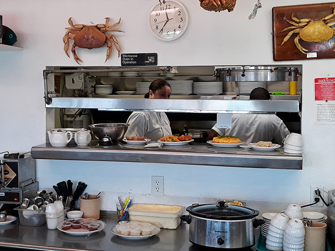 The kitchen pass reveals the organized chaos where ocean bounty transforms into the plates that launch a thousand satisfied sighs.