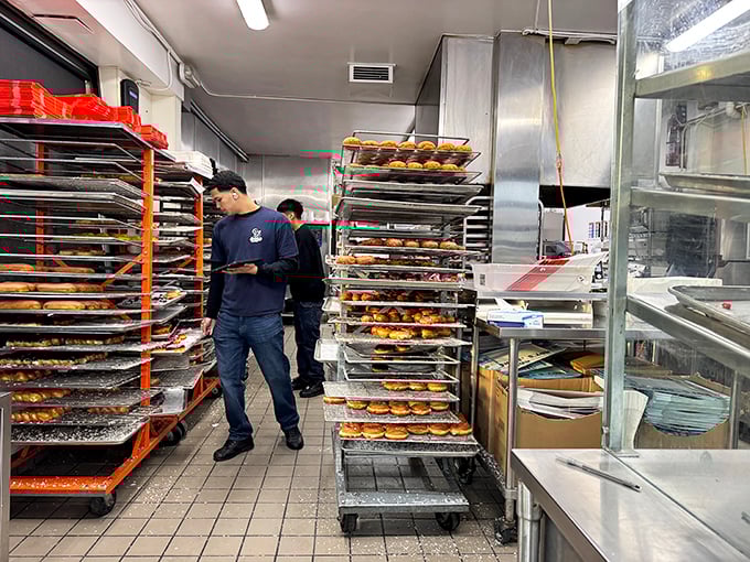 The donut factory floor—where dreams rise with the yeast. These bakers are the unsung heroes of countless morning commutes.