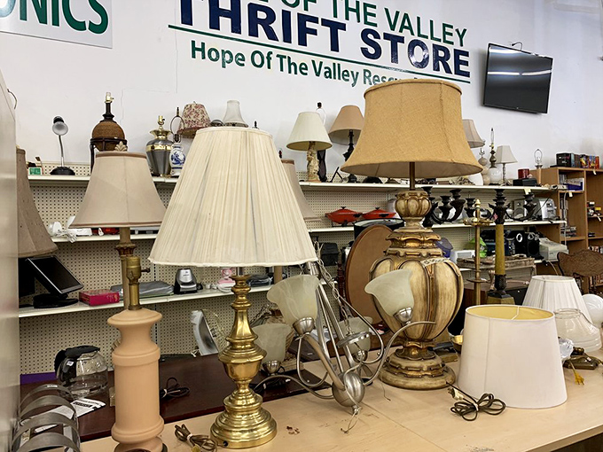 The lamp section glows with potential, each shade and base waiting for the perfect match, like a lighting version of a dating show.