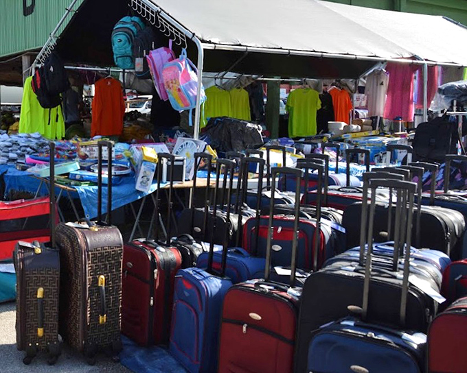 Luggage in every size imaginable waits to be adopted for new adventures, from weekend getaways to cross-country road trips.