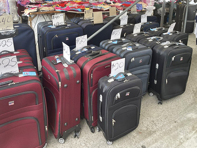 Luggage lineup that makes airport carousels look like fashion runways. Your clothes deserve better than that duffel from college.