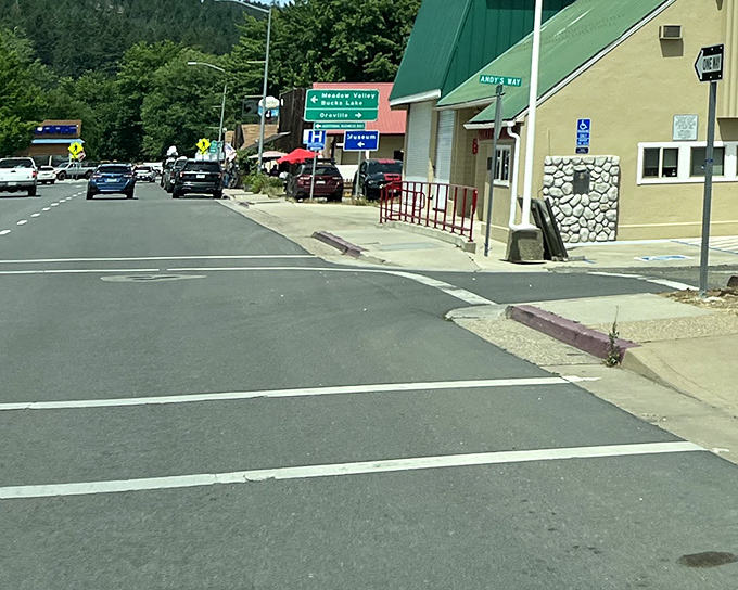 Bucks Lake's pristine waters reflect towering pines in nature's own mirror of mountain perfection.