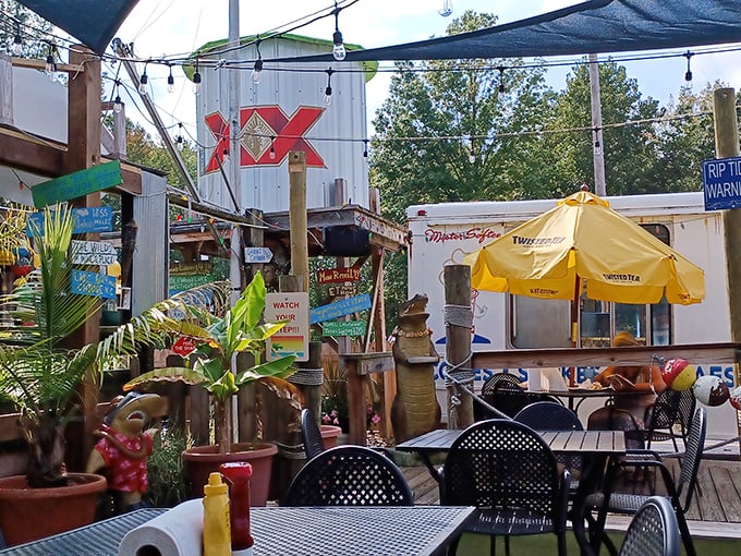 Outdoor dining with a side of whimsy. Palm trees in Ohio? At Mike's Place, geographical impossibilities become delightful realities.
