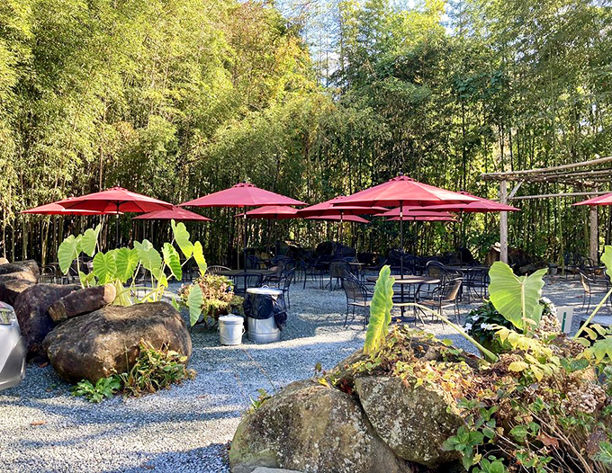 Red umbrellas dot this serene outdoor space like cherry tomatoes in a garden salad. Nature and nurture combine for the perfect dining atmosphere.