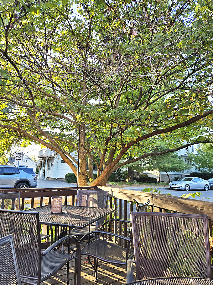 Dappled sunlight filtering through leaves creates nature's perfect dining canopy. Al fresco eating as it should be.