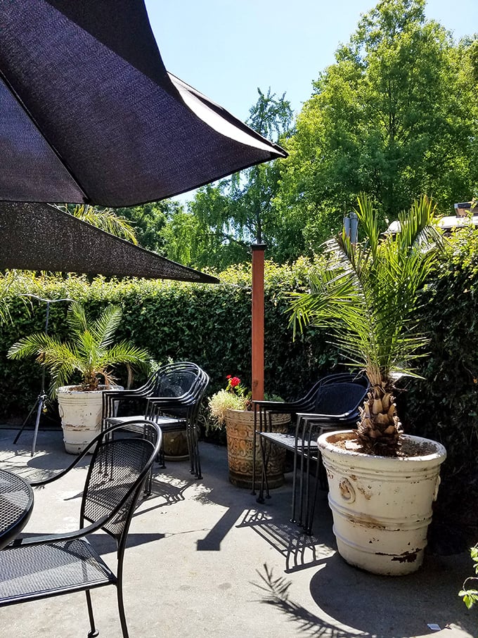 The outdoor patio offers a tranquil oasis where palm plants stand guard over your precious moments of breakfast bliss.