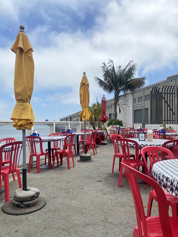 The patio at Pier 23 offers what might be San Francisco's most democratic luxury: million-dollar views accessible with a sandwich budget.