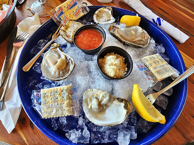 Fresh oysters glistening like the ocean's jewelry box just opened for business.