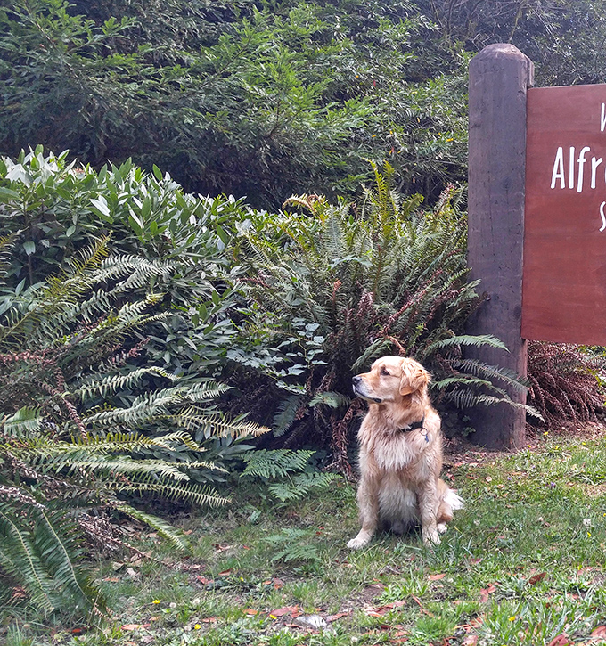 Four-legged visitors are welcome too. This good boy knows he's found the perfect spot for sniffing new scents and making memories.