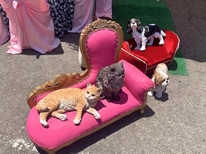 These lifelike pet figurines lounging on pink furniture have more attitude than most celebrities. The cat looks suspiciously like my first boss.
