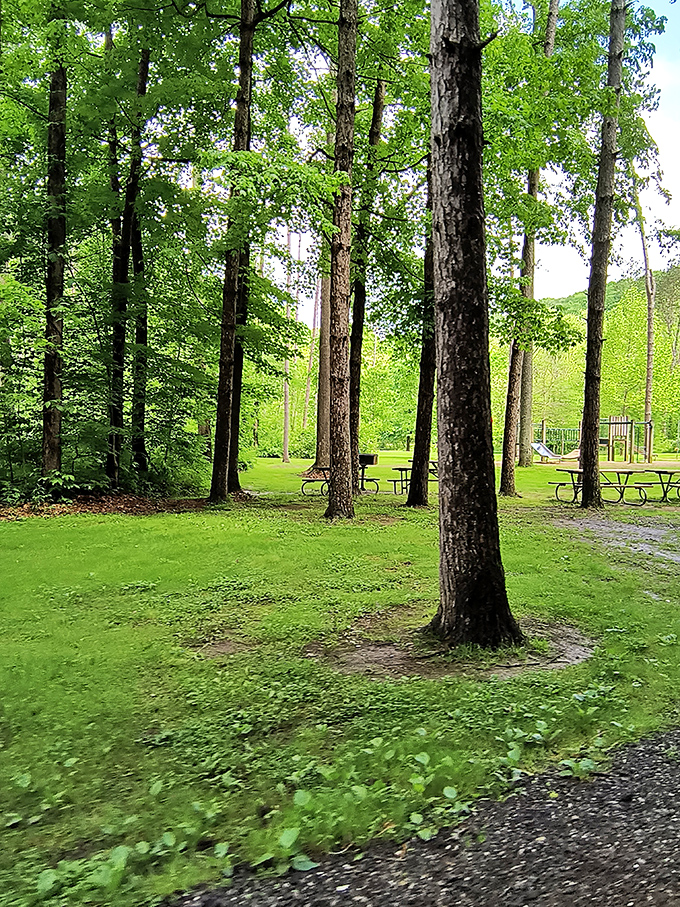 Picnic tables with this view make your sandwich taste like a five-star meal, guaranteed.