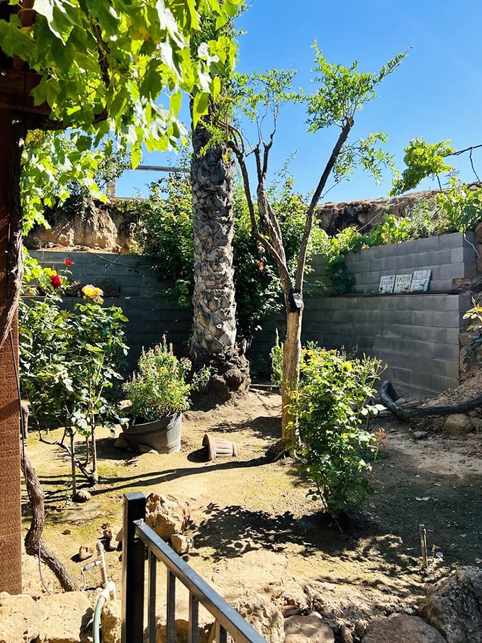 Above-ground plantings complement the underground gardens. Even in harsh Fresno heat, these resilient trees and shrubs thrive in this unique ecosystem.
