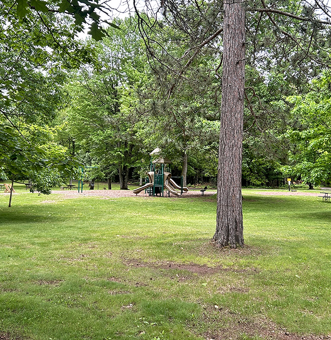 Even wilderness playgrounds understand the assignment &ndash; adventure equipment surrounded by enough trees to make oxygen companies jealous.