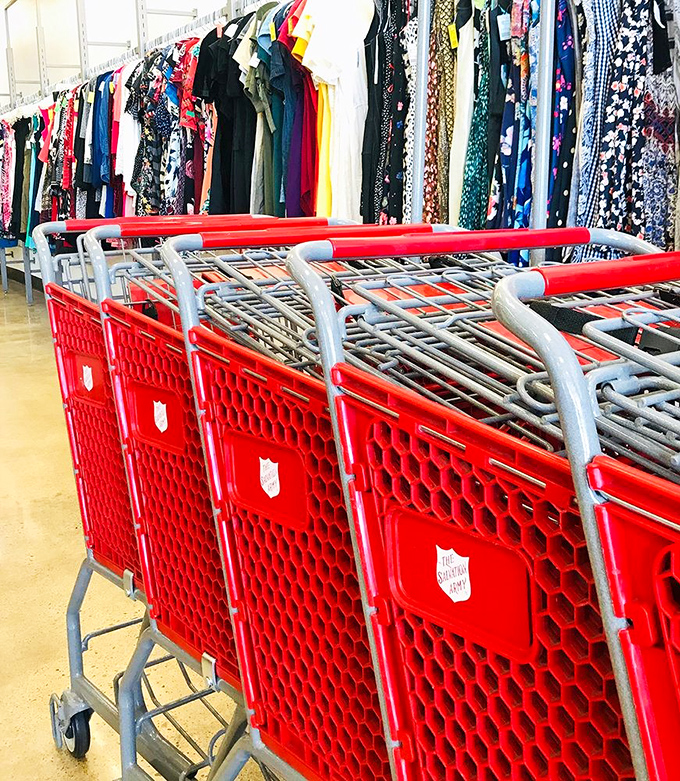 The iconic red shopping carts stand ready for duty, like chariots awaiting bargain-hunting warriors.