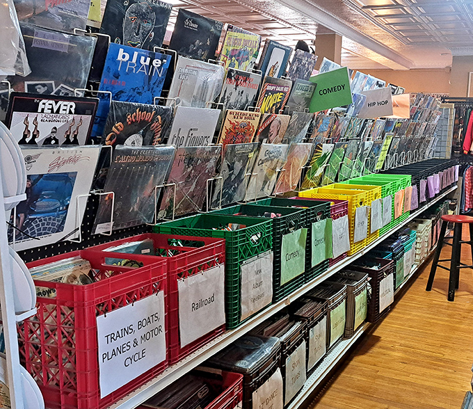 Vinyl paradise for analog audiophiles! From classic rock to hip-hop, these records aren't just music&mdash;they're physical memories you can hold.
