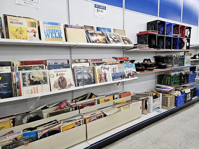 Vinyl heaven for analog souls &ndash; where forgotten albums get their encore performance in someone new's living room.