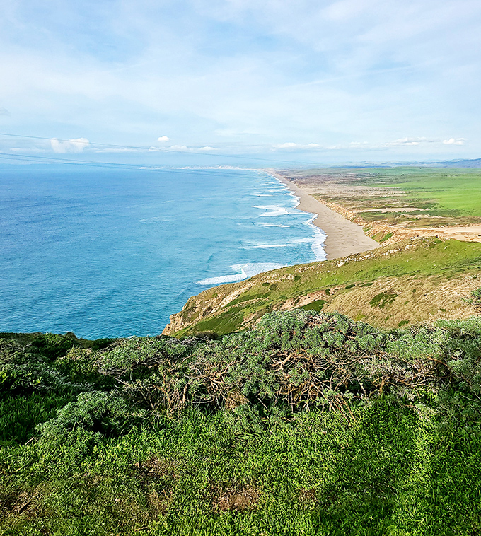 The dramatic coastline stretches like nature's infinity pool. Where the Pacific meets pristine beaches, California shows off its best side.