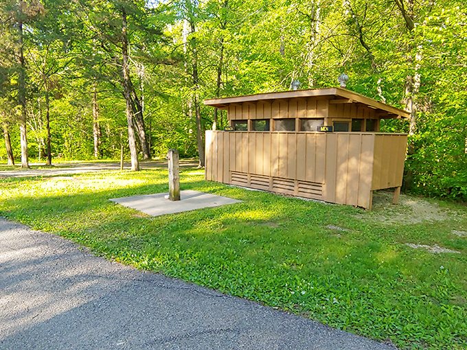 Even the park facilities blend harmoniously with nature&mdash;practical architecture that doesn't distract from the surrounding woodland beauty.