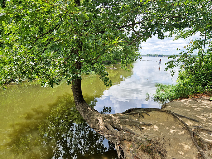 The Illinois River doesn't need Instagram filters. These reflections have been perfecting their selfie game for centuries.