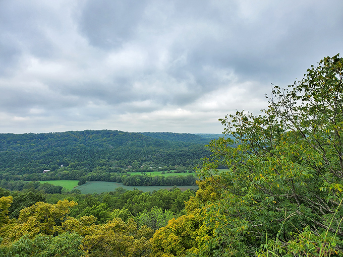 The payoff view! Rolling Appalachian foothills stretch to the horizon, making you forget you're in Ohio and not some national park out west.